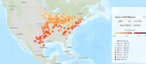 A Decade of Monarchs and Milkweeds | Bruce Byers Consulting